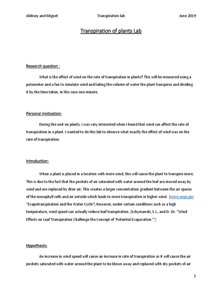 Lab On Transpiration Bio | PDF | Evapotranspiration | Wound