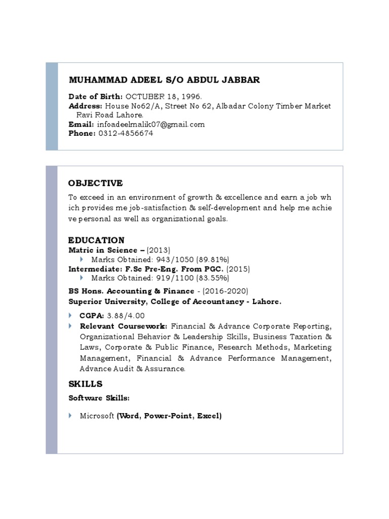 Adeel CV | PDF | Career & Growth