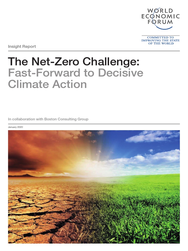 WEF The Net Zero Challenge | PDF | Climate Change Mitigation | Low ...