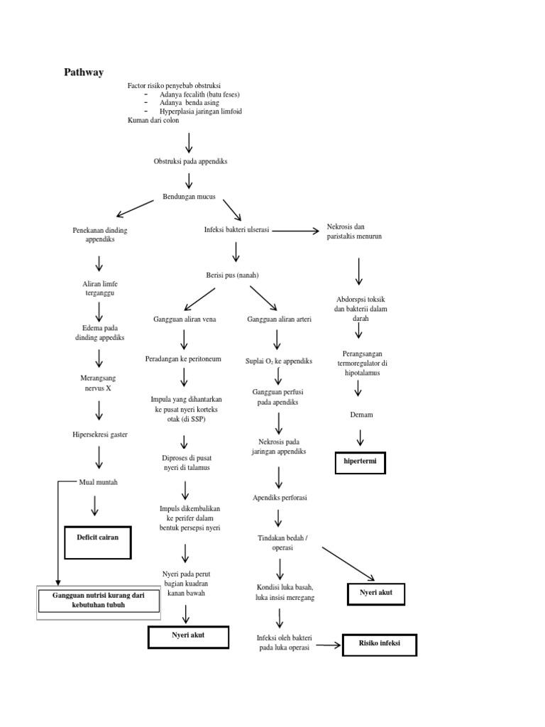 1 APENDIKSITIS Pathway | PDF