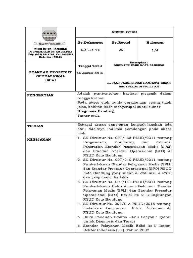 Sop Abses Otak | PDF