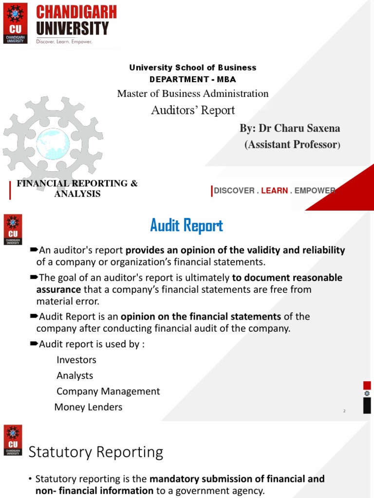 FRA Auditors' Report | PDF | Financial Audit | Auditor's Report