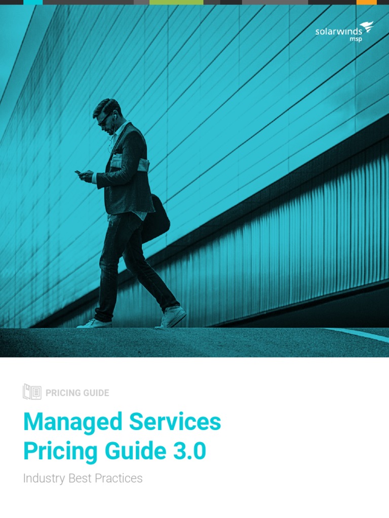 SW MSP Pricing Guide | PDF | Computer Security | Security