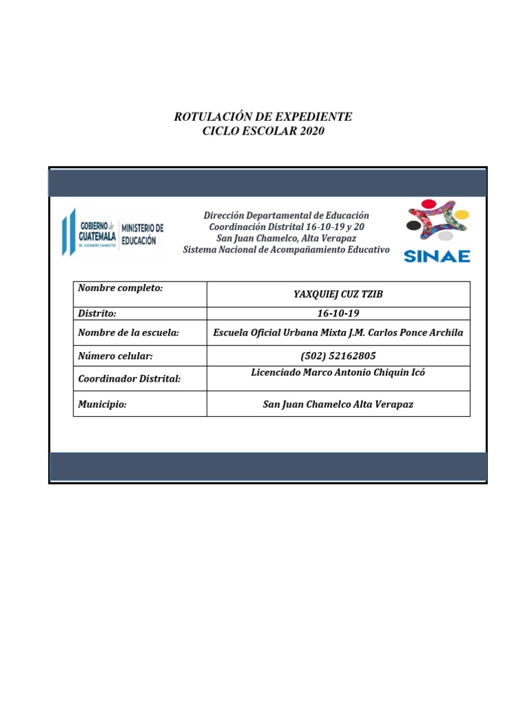 Rotulación Expediente 2020 | PDF