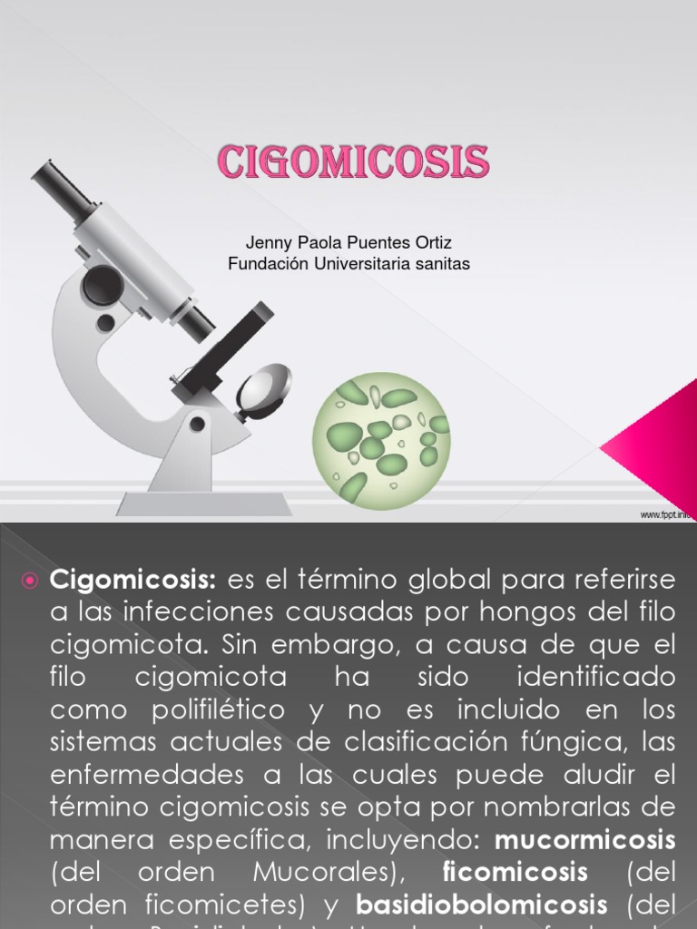Cigomicosis | PDF | Microbiología | Inmunología