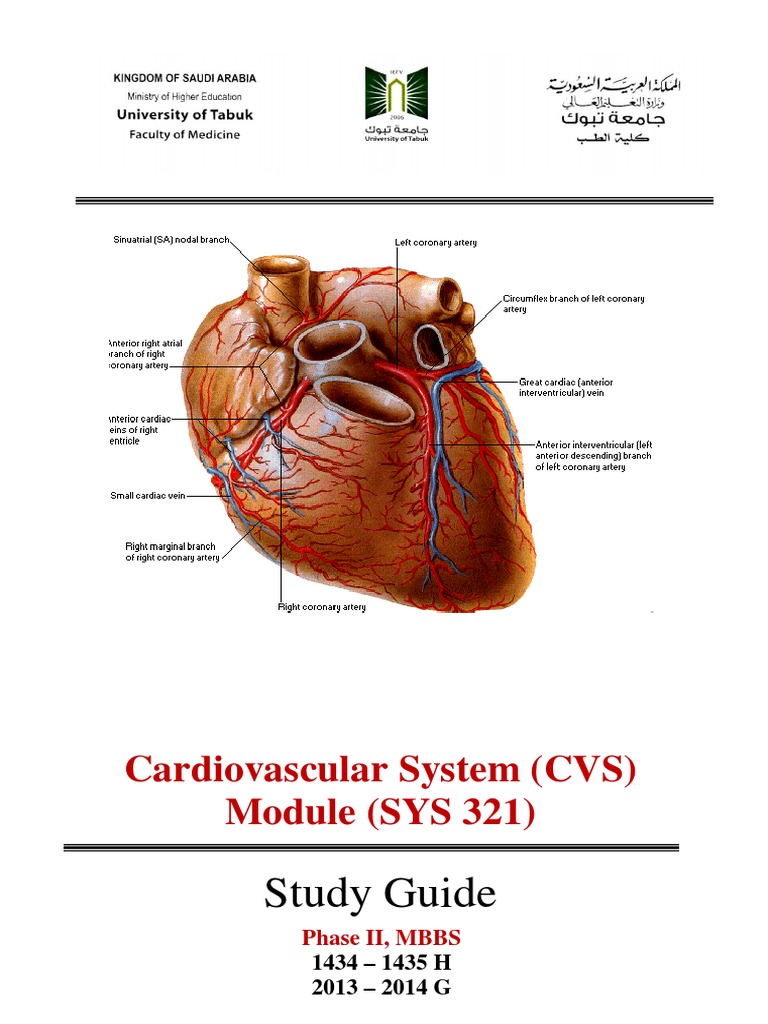 CVS | PDF | Heart | Electrocardiography