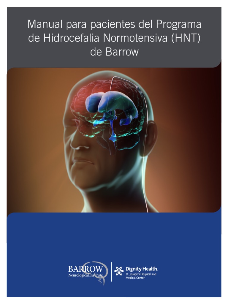 NPH Guia | PDF | Cirugía | Hospital