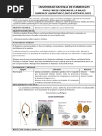Retortamonas Intestinalis | PDF | Especialidades Medicas | Microbiología
