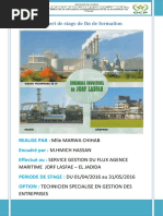 Organigramme Et Filiales de OCP | PDF