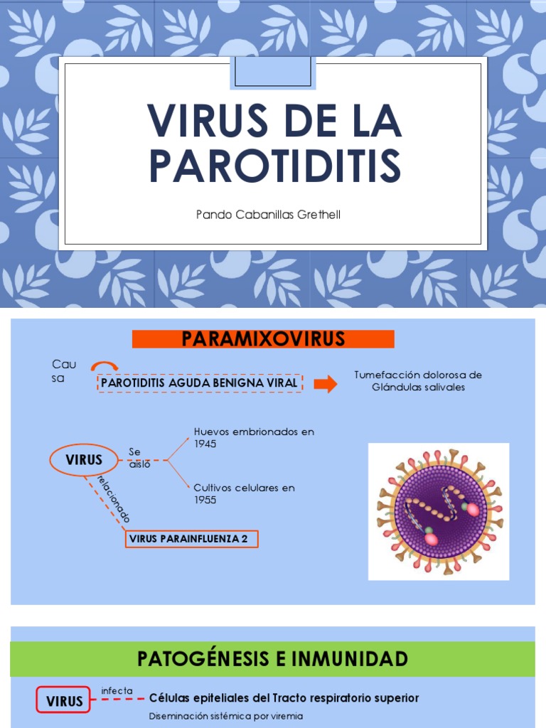 Parotiditis: Patogenia y Tratamiento | PDF | Virus | Inmunología