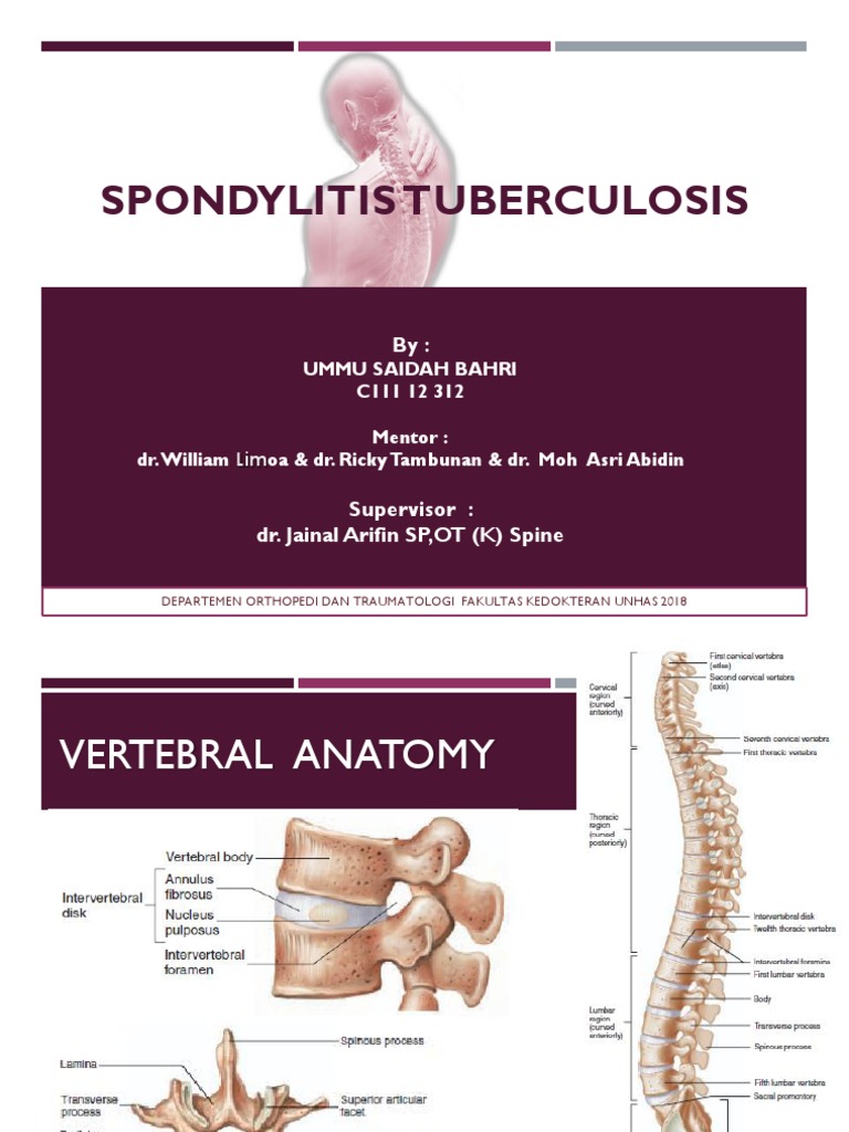 Spondilitis TB | PDF | Tuberculosis | Spinal Cord
