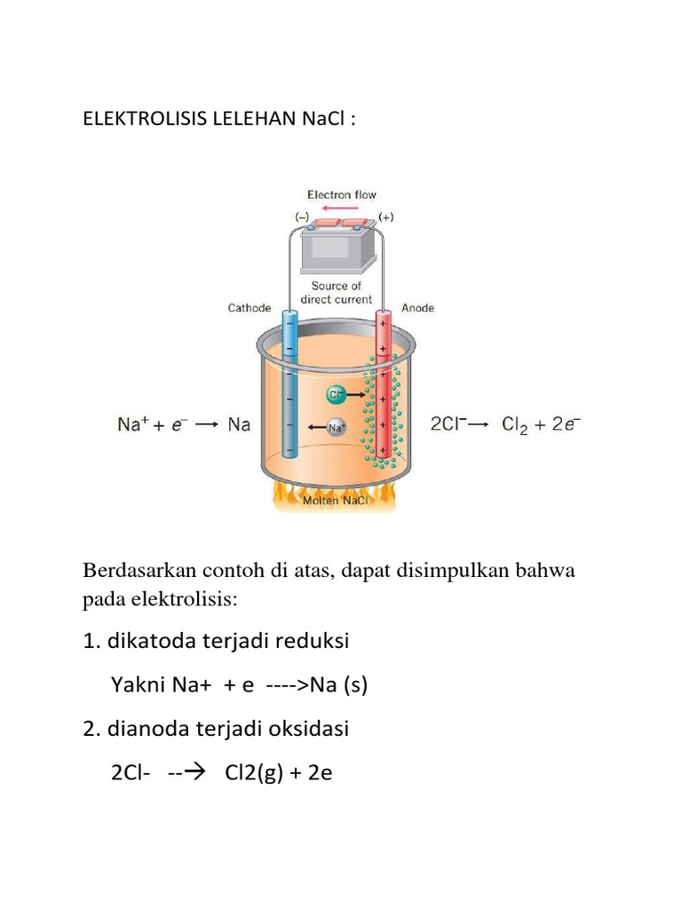 ELEKTROLISIS LELEHAN NaCl | PDF