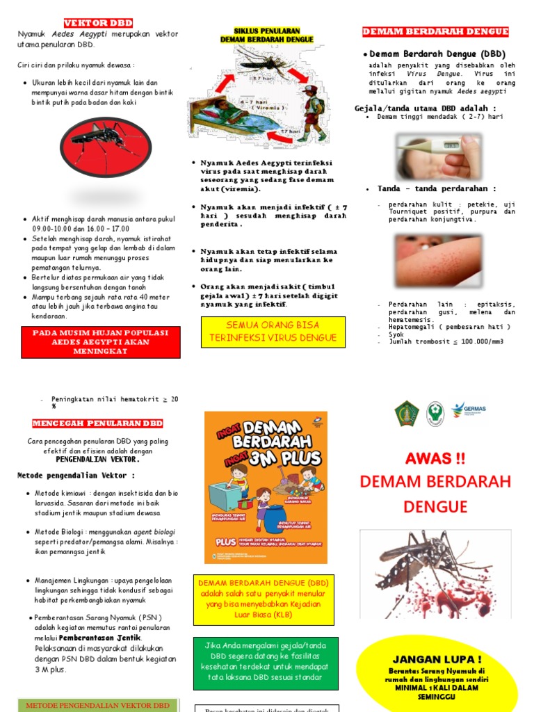 Leaflet Demam Berdarah Dengue | PDF