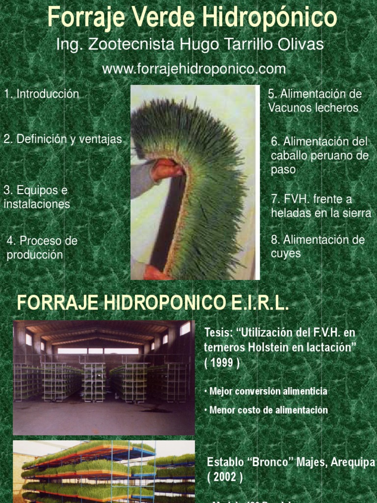 Curso FVH | PDF | Vacas | Hidroponia