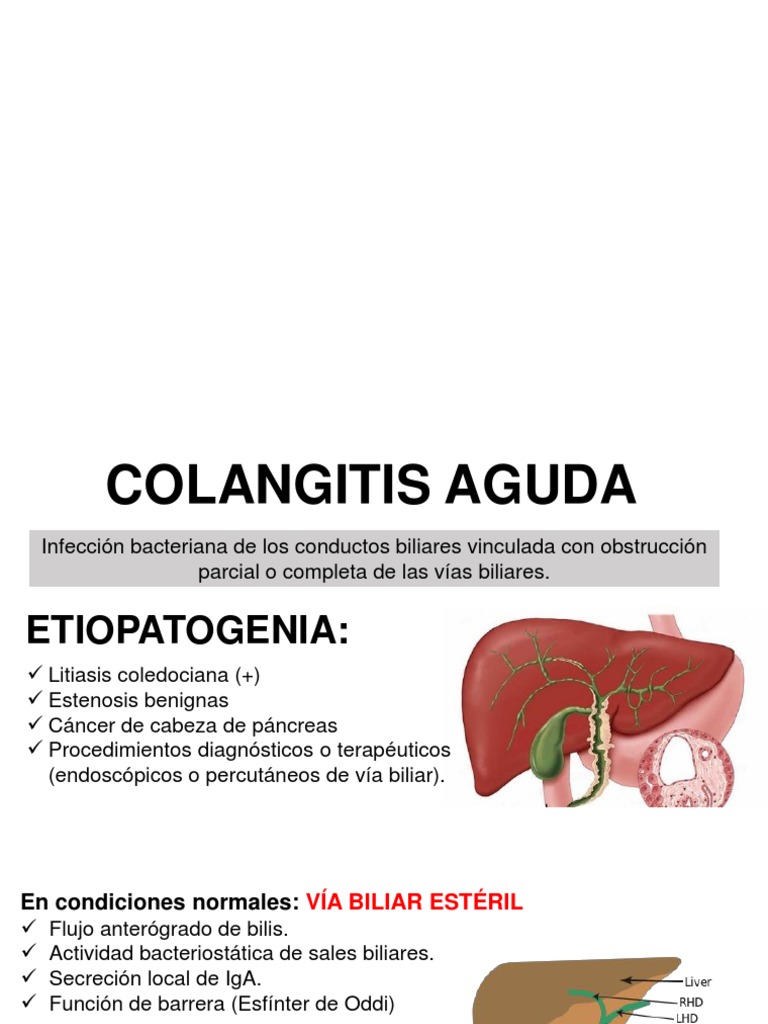 Colangitis | PDF | Sistema exocrino | Hígado
