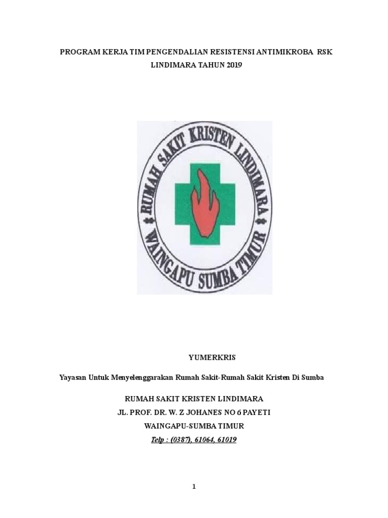 Program Kerja Tim Ppra | PDF