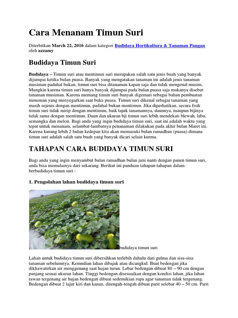 Cara Menanam Timun Suri | PDF
