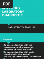 Miles and Misra Method for CFU Counting | PDF | Colony Forming Unit ...