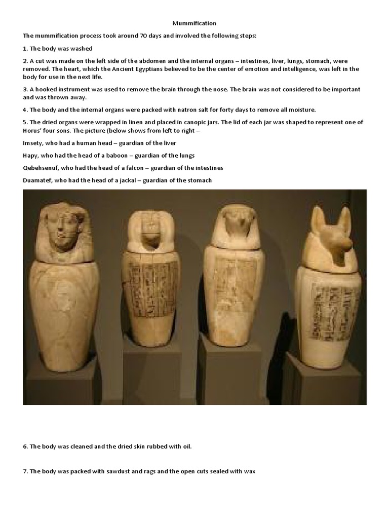 Mummification Process | PDF | Mummy | Cultural Aspects Of Death