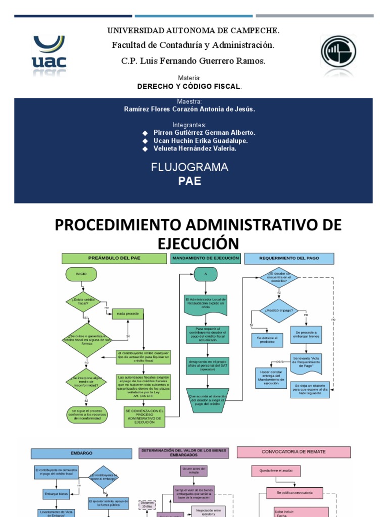 Flujograma Procedimiento Administrativo de Ejecucion | PDF