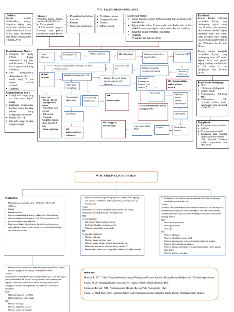 Woc Kejang Demam | PDF
