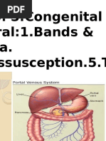 The-Modified-Sarnat-Score-in-the-Assessment-of-Neonatal-Encephalopathy ...