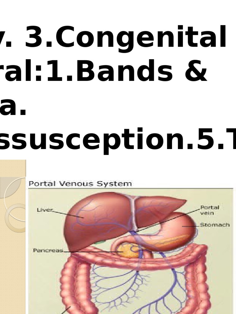 Portal Hypertension | PDF | Vein | Liver