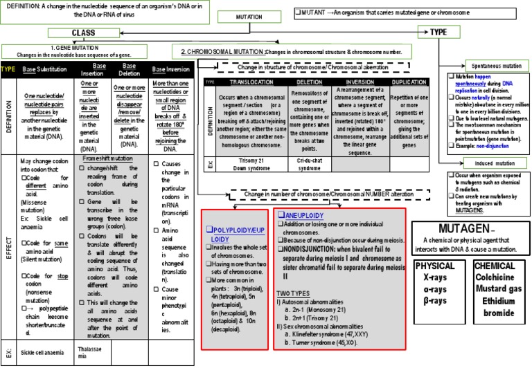 Mind Map Mutation | PDF | Mutation | Gene