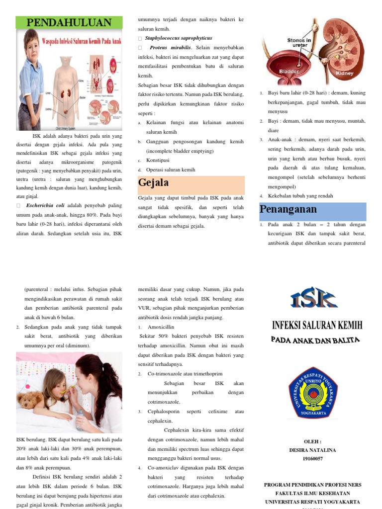 Leaflet Isk Anak. | PDF
