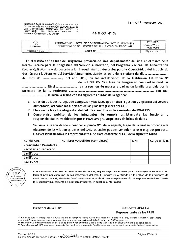 Acta de Conformacion Del CAE | PDF
