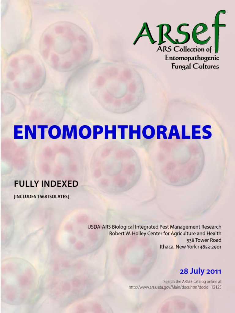 Entomophthorales July2011 | PDF | Fungus | Taxonomy (Biology)