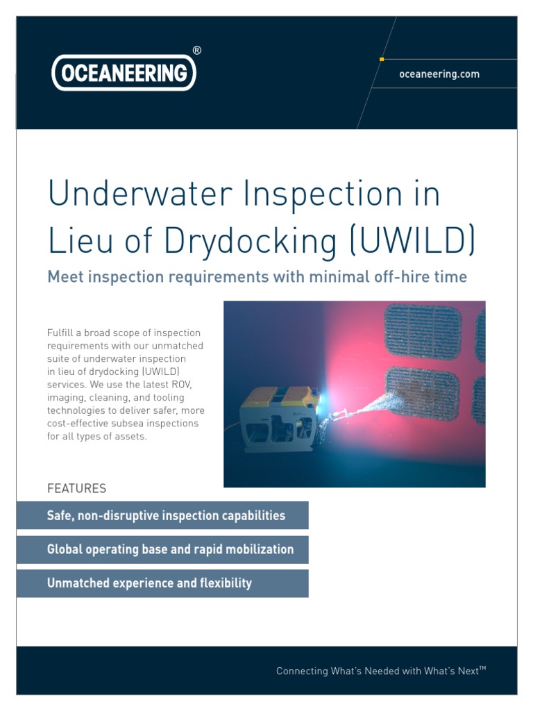 SSPJ Underwater Inspection in Lieu of Drydocking (UWILD) PDF | PDF ...
