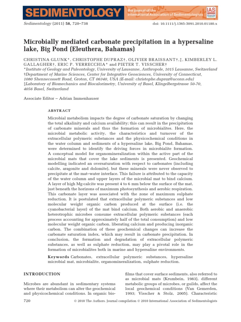 Microbially Mediated Carbonate Precipitation in a Hypersaline Lake: The Role of Extracellular ...