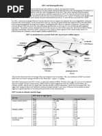 CV, Myanmar | PDF
