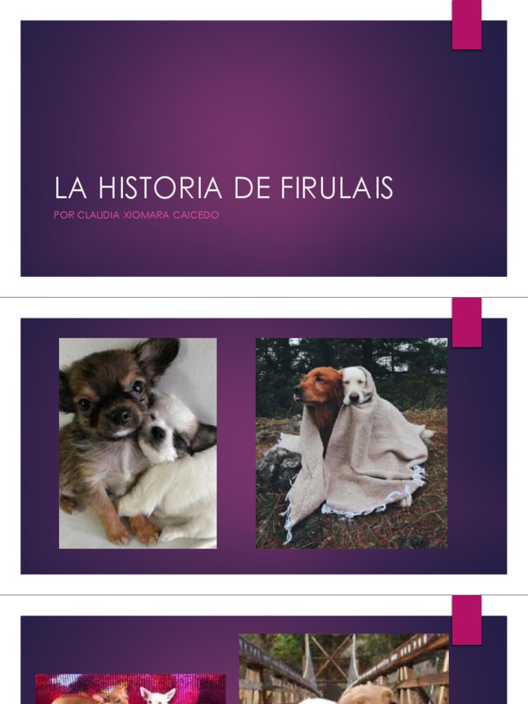 La Historia de Firulais | PDF