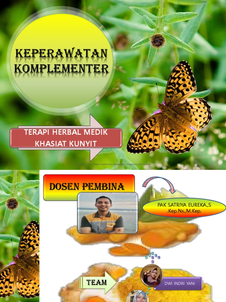 Terapi Herbal Medik Kunyit | PDF