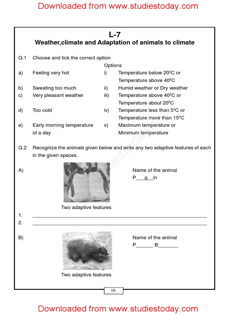 Weather, Climate and Adaptation of Animals To Climate | PDF | Climate ...
