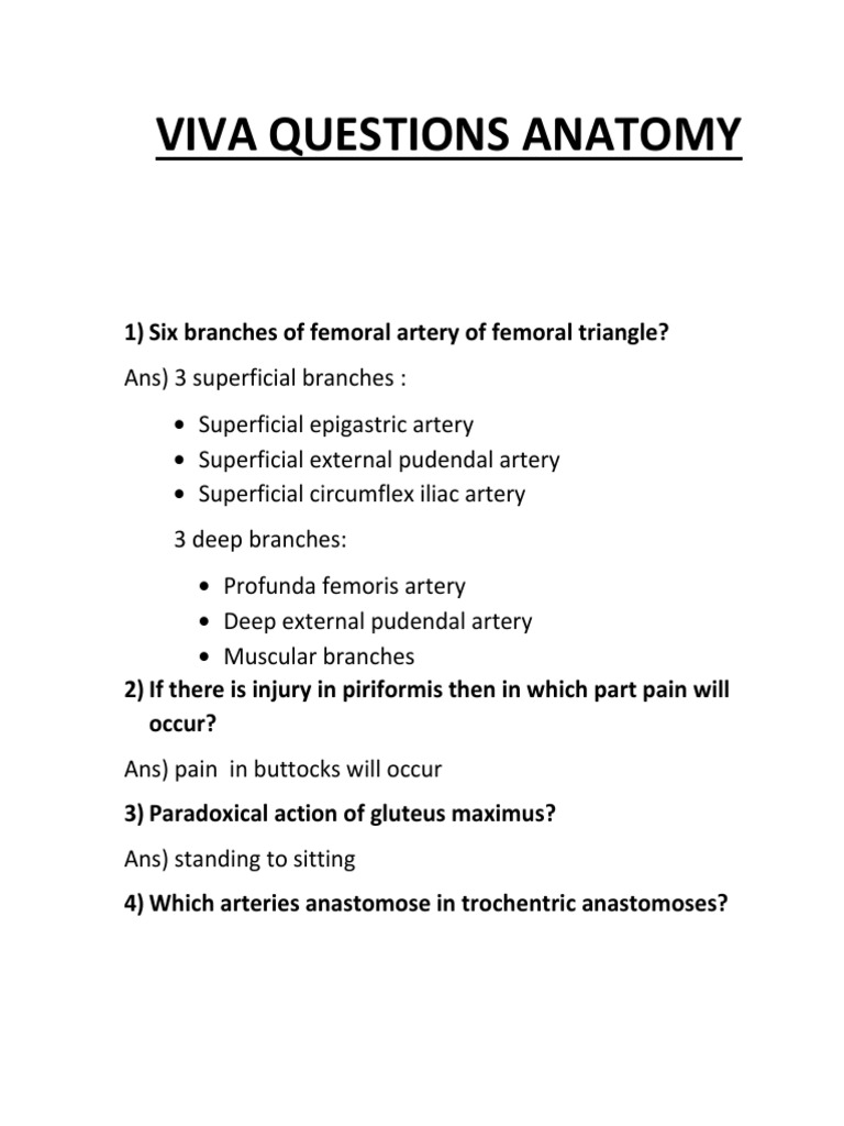 Viva Questions Anatomy | PDF | Stomach | Knee