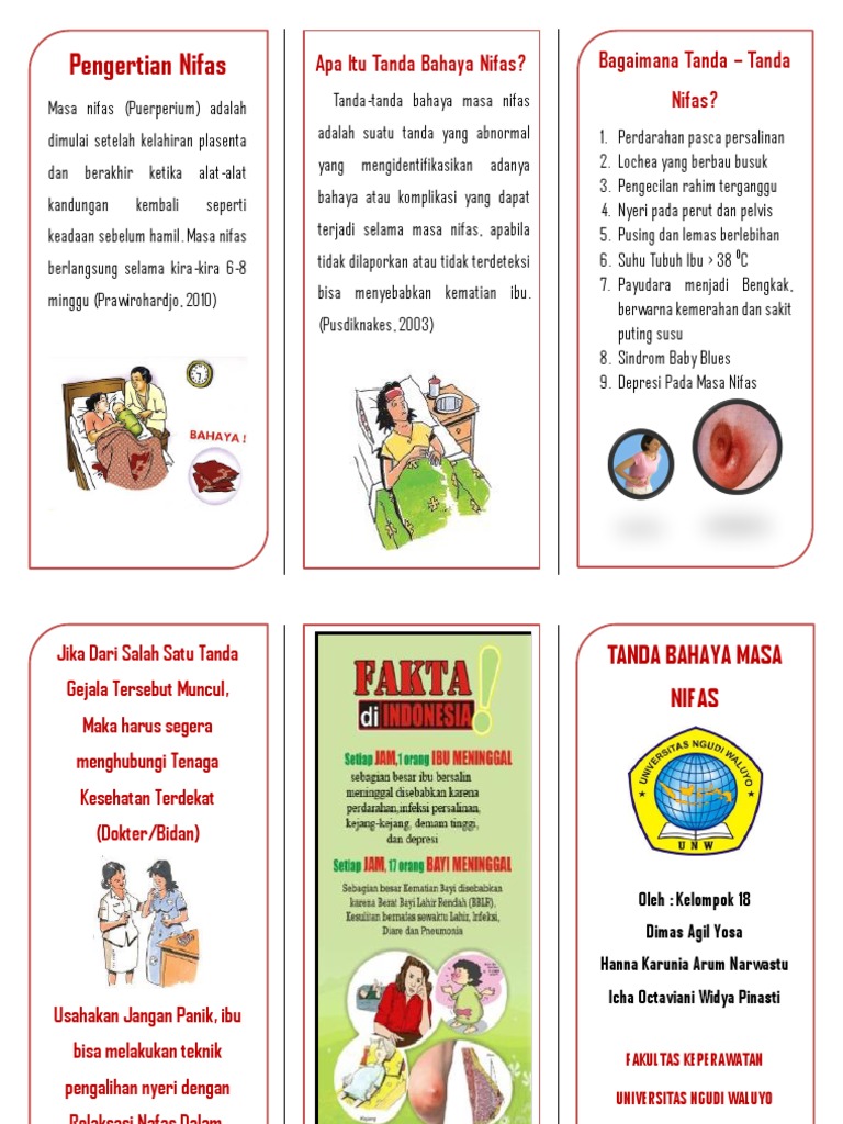 Leaflet Nifas | PDF | Kesehatan Holistik
