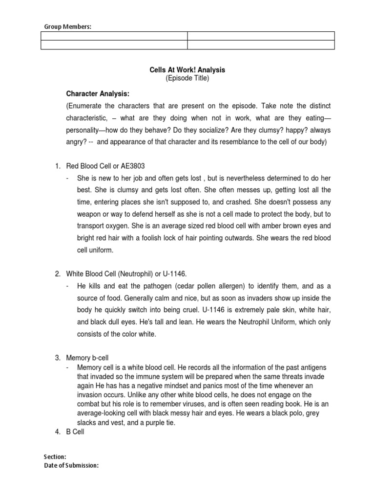 Cells at Work! Episode Character Analysis | PDF | Allergy | White Blood ...
