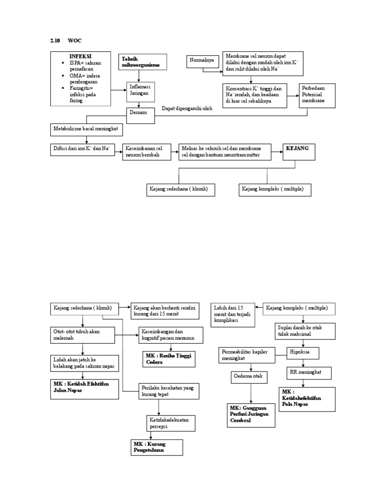 WOC Kejang Demam | PDF