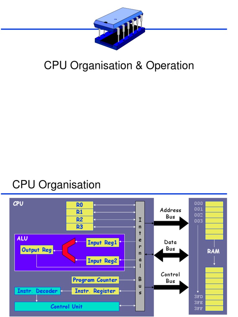 CPUOrganisation | PDF | Central Processing Unit | Random Access Memory