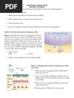 Video Recap of Codon Chart Video Companion by Amoeba Sisters | PDF ...