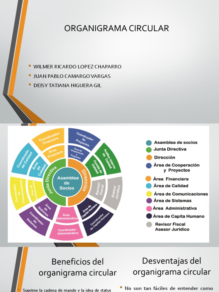 Organigrama Circular | PDF