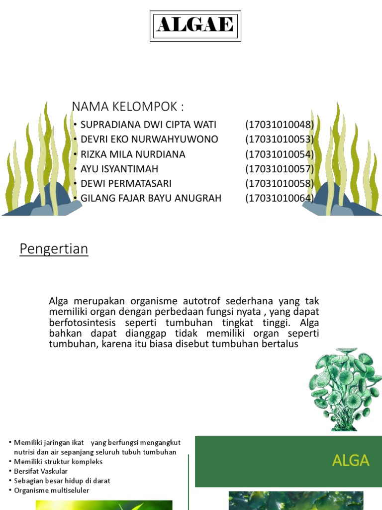 ALGAE | PDF