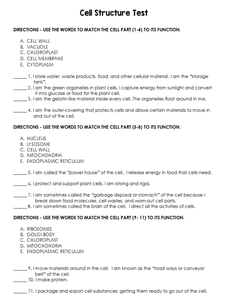 Cell Structure and Function Test: Identifying Cell Organelles and Their ...