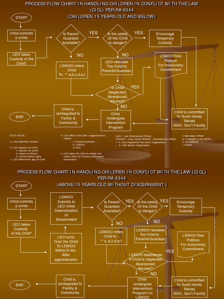 Flowchart in Handling Cicl Cases | PDF | Child Custody | Legal Guardian