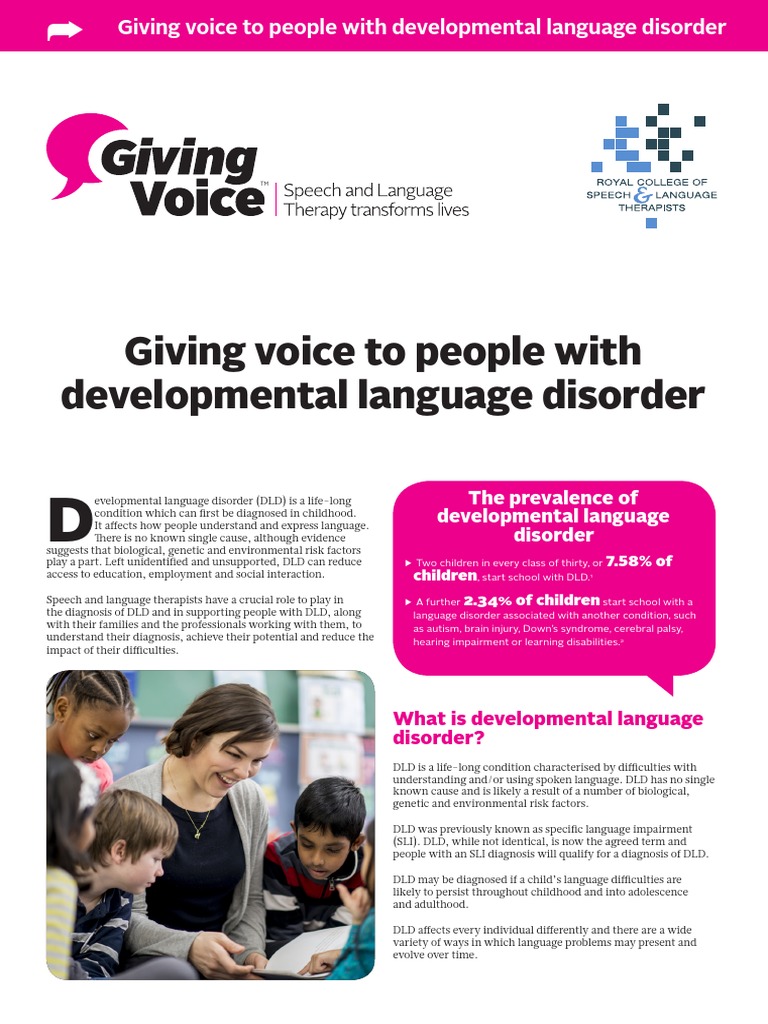 RCSLT DLD Factsheet | PDF | Adolescence | Speech Language Pathology