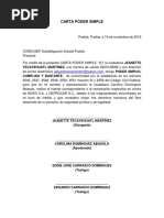 Carta Poder | PDF | Testigo | Juez