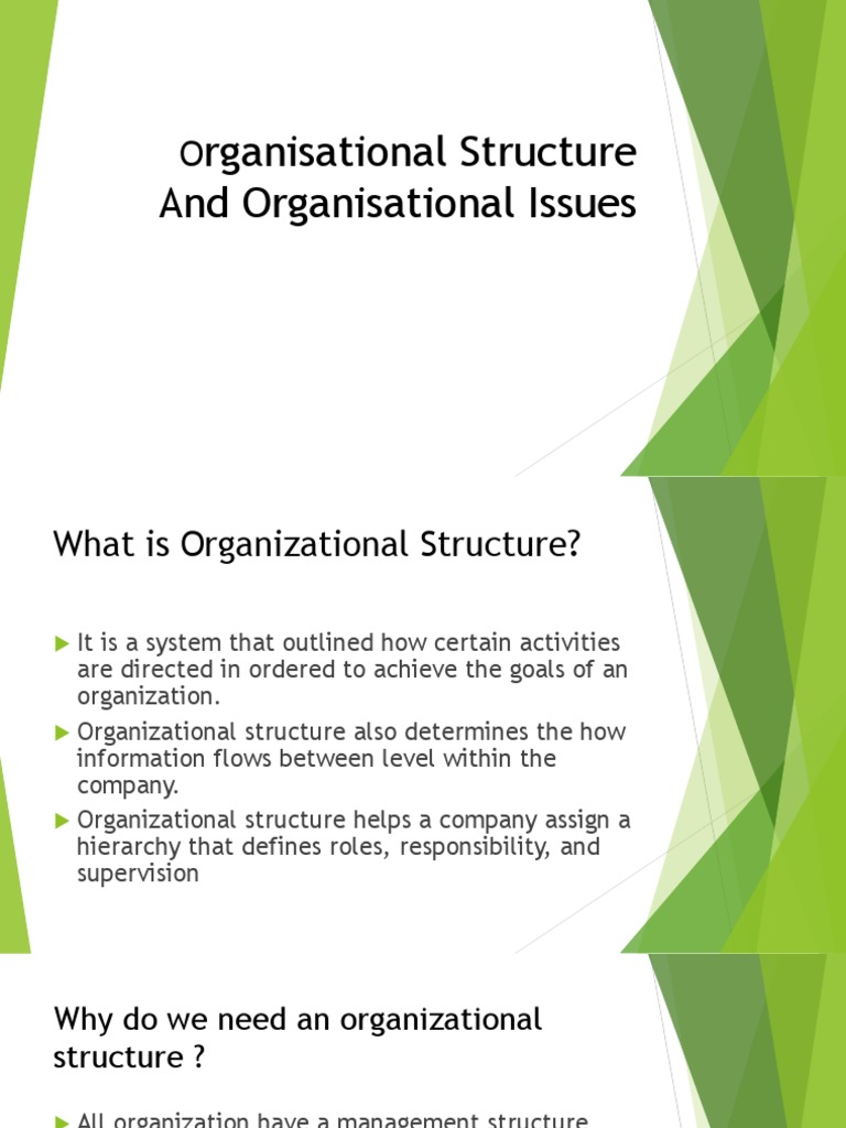 Organisational Structure and Organisational Issues | PDF